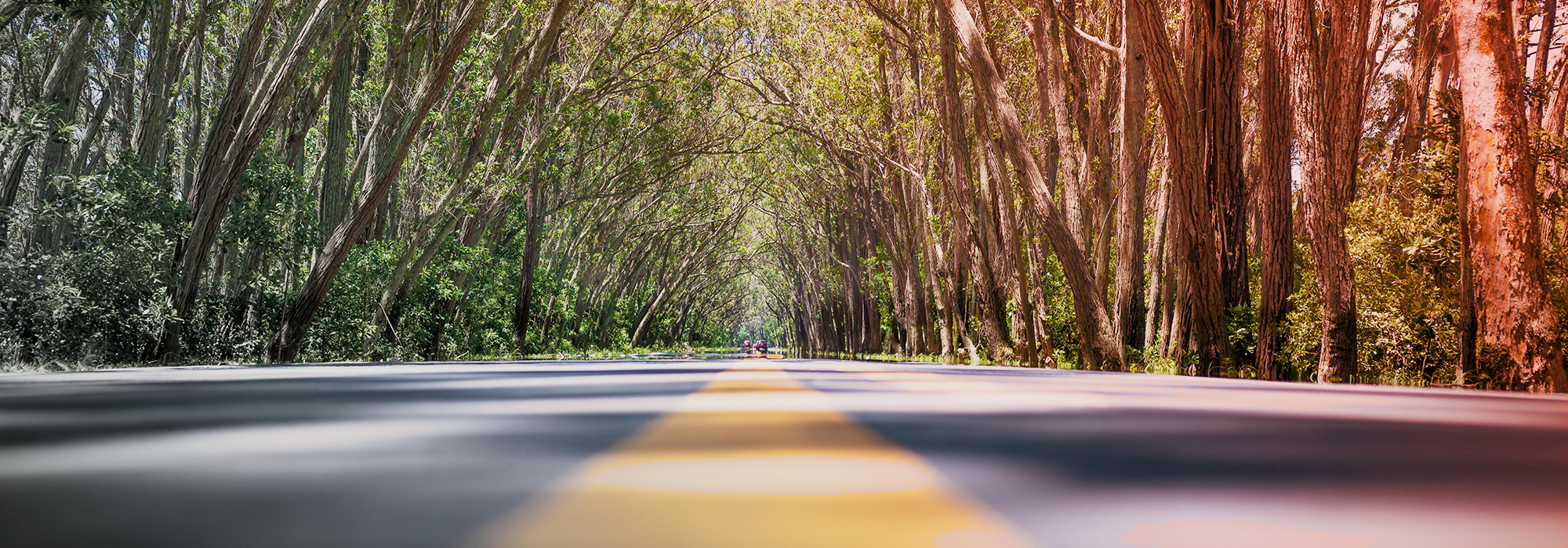 Staying Balanced and Connected on the Road